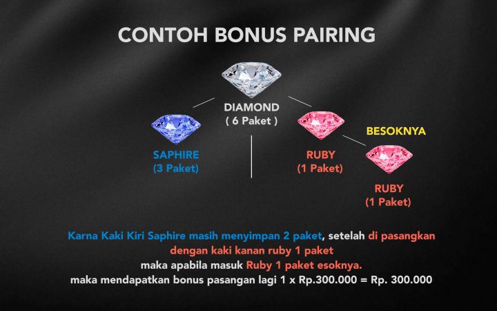 Skema Bisnis/Marketing Plan Bisnis AFC - Distributor Produk AFC Jepang