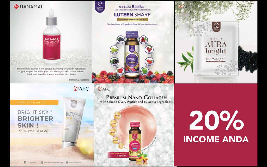 Skema Bisnis/Marketing Plan Bisnis AFC - Distributor Produk AFC Jepang